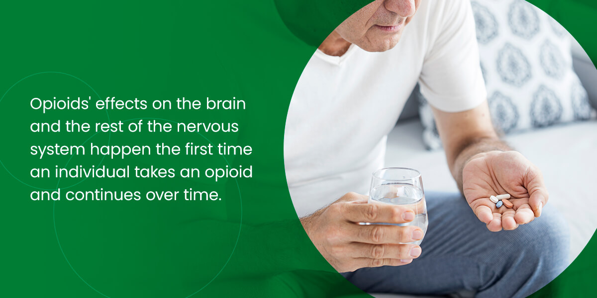 How Opioids Affect the Brain and Body - Middlesex Recovery